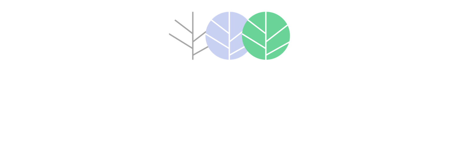 Rynoh + paymints.io - paymints.io