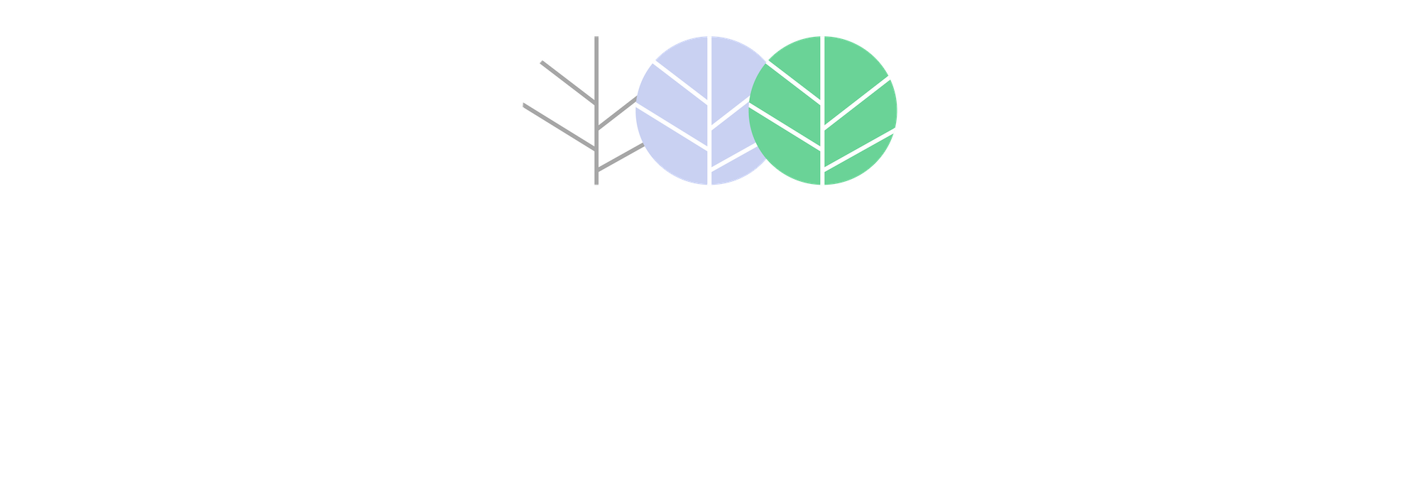 Rynoh + paymints.io - paymints.io
